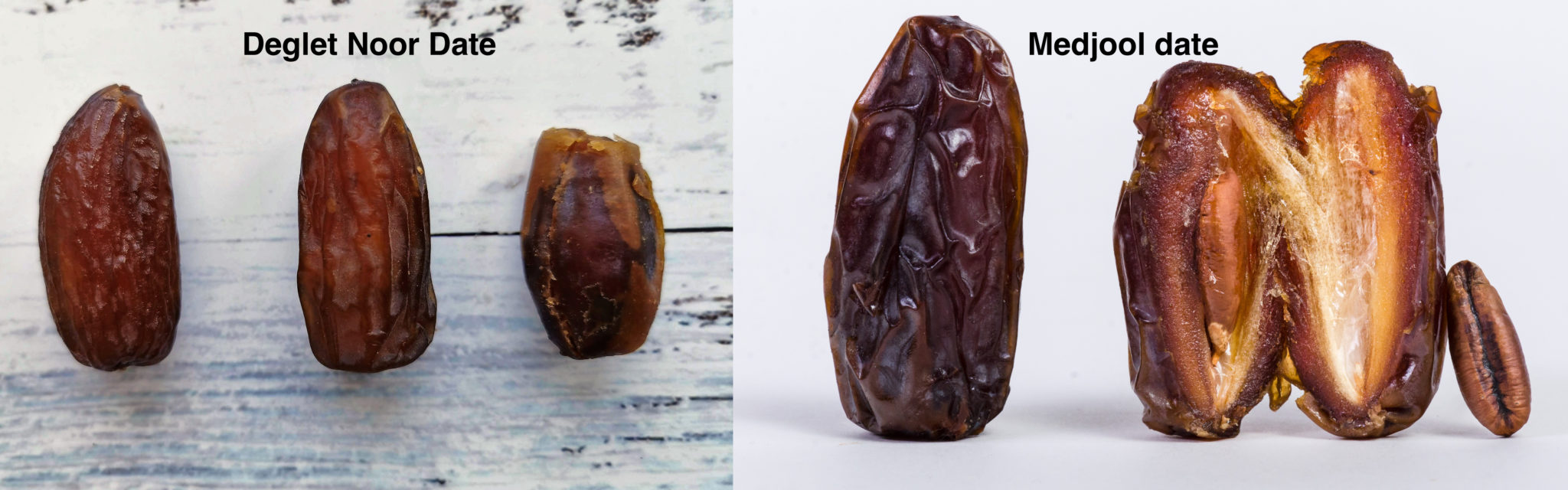 Fact or Fiction: Dates Are A Low Oxalate Food? - Sally K. Norton